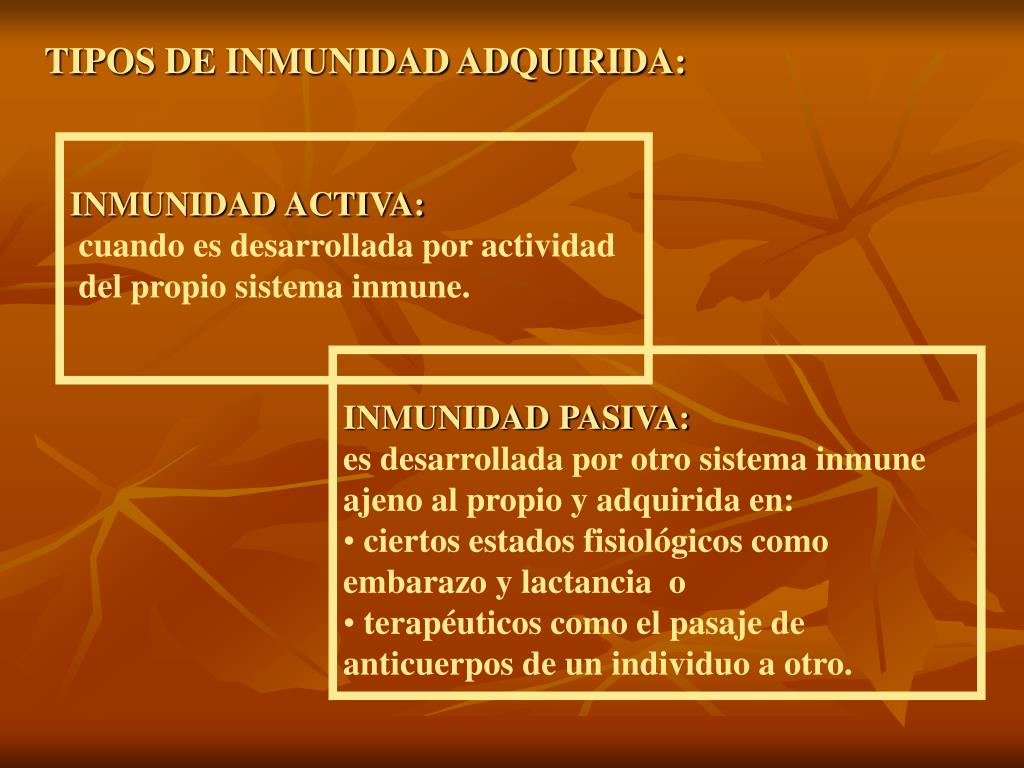 PPT - INMUNIDAD ADQUIRIDA, ADAPTATIVA O ESPECÍFICA PowerPoint ...