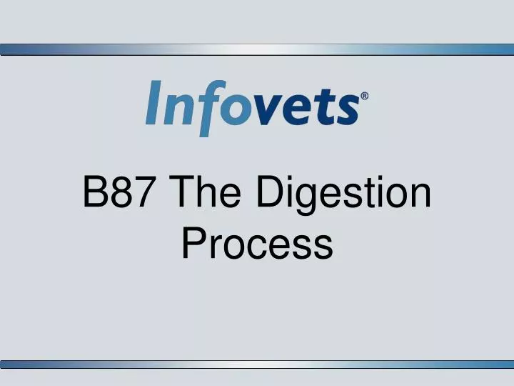 PPT - B87 The Digestion Process PowerPoint Presentation, free download ...