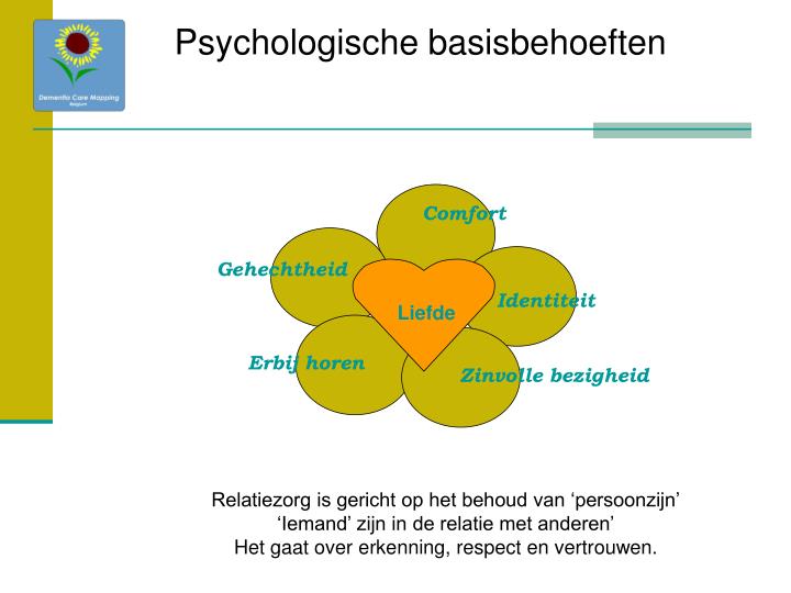 PPT - Persoonsgerichte zorg Dementia Care Mapping PowerPoint ...