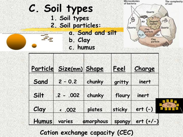 PPT - Plant transport and nutrition PowerPoint Presentation - ID:5626303