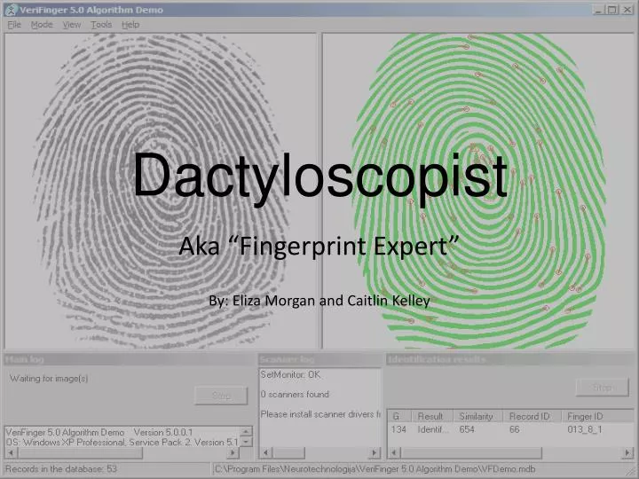 PPT - Dactyloscopist PowerPoint Presentation, free download - ID:5627655
