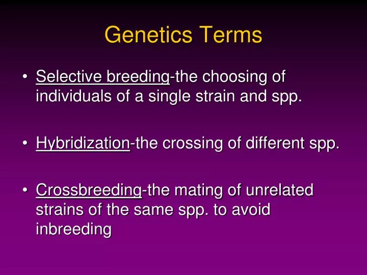 PPT - Genetics Terms PowerPoint Presentation, free download - ID:5628774