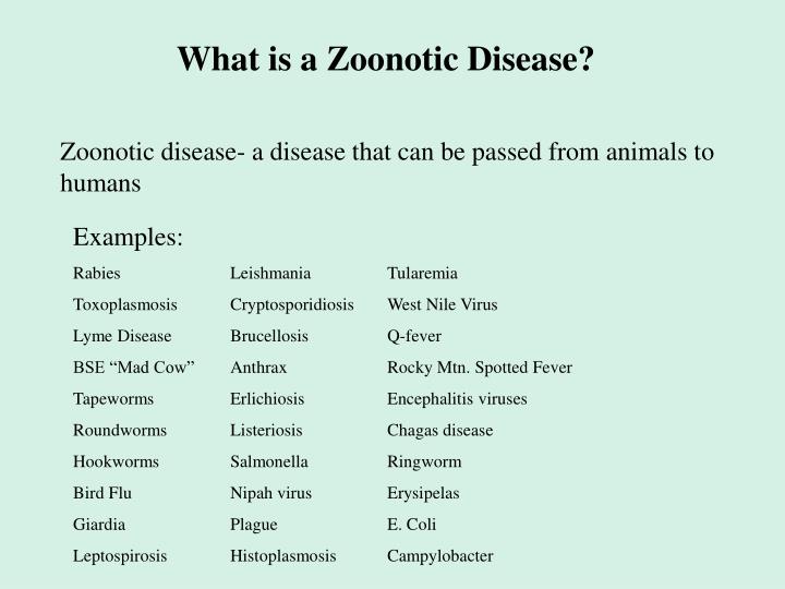 PPT - Diseases – Animals to Humans (Zoonotic Diseases) PowerPoint ...