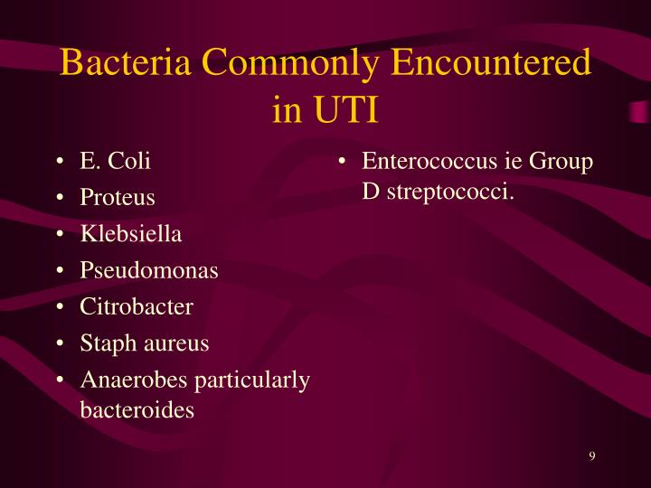 PPT - Urinary Tract Infection PowerPoint Presentation - ID:5630123