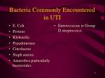 PPT - Urinary Tract Infection PowerPoint Presentation - ID:5630123