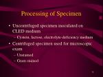 PPT - Urinary Tract Infection PowerPoint Presentation - ID:5630123