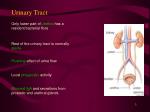 PPT - Urinary Tract Infection PowerPoint Presentation - ID:5630123