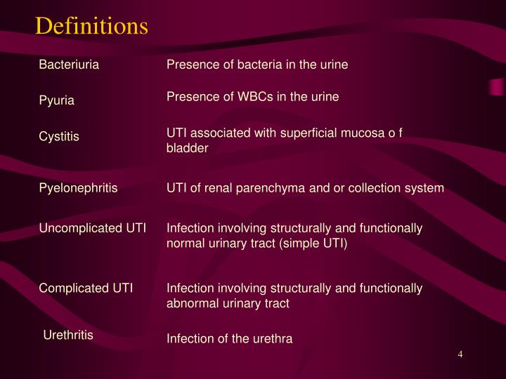 PPT - Urinary Tract Infection PowerPoint Presentation - ID:5630123