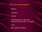 PPT - Urinary Tract Infection PowerPoint Presentation - ID:5630123