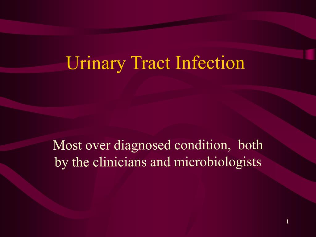 Ppt Urinary Tract Infection Powerpoint Presentation Free Download