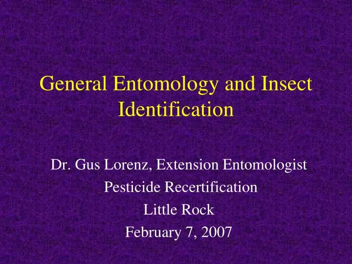 PPT - General Entomology and Insect Identification PowerPoint ...