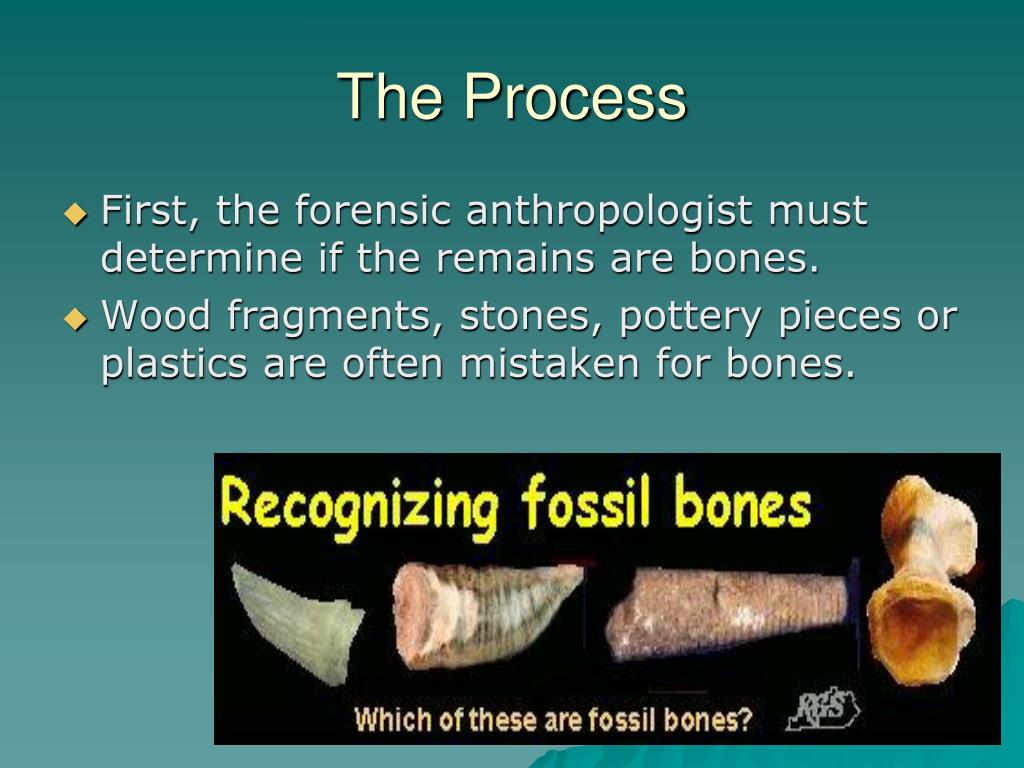 Ppt Forensic Anthropology Powerpoint Presentation Free Download Id