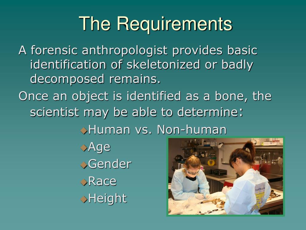 PPT FORENSIC ANTHROPOLOGY PowerPoint Presentation Free Download ID PPT FORENSIC ANTHROPOLOGY PowerPoint Presentation Free Download ID