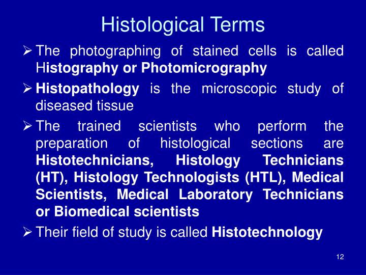 PPT - INTRODUCTION TO HISTOLOGY PowerPoint Presentation - ID:5632792