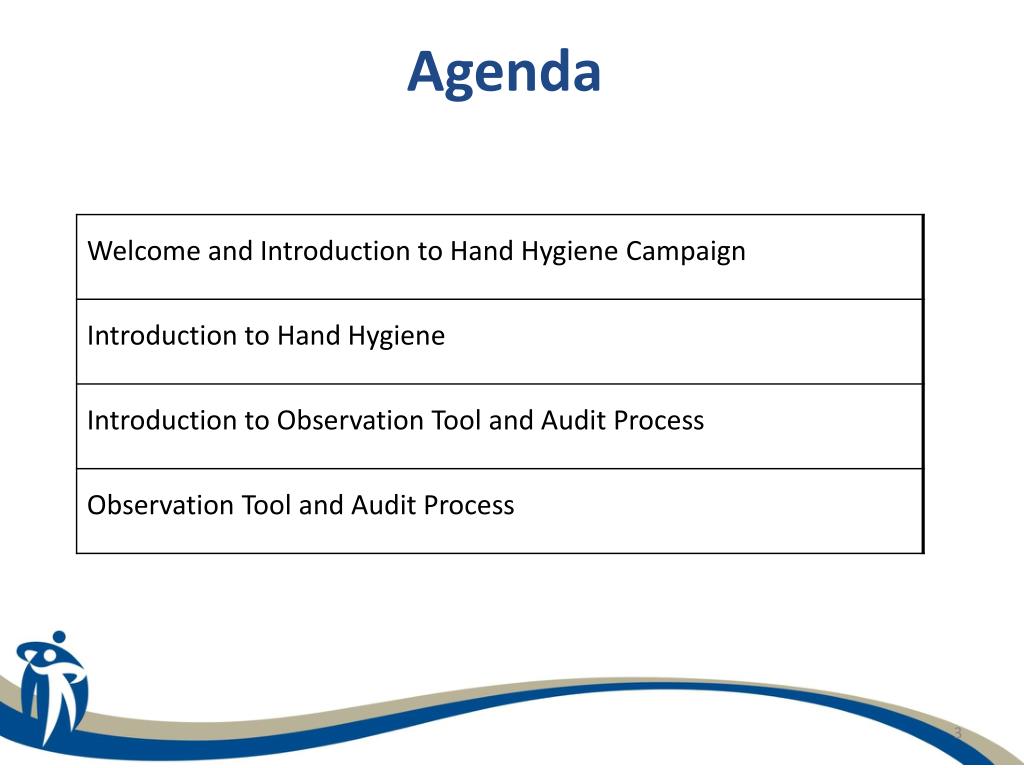PPT - WRHA Hand Hygiene Auditing – 4 Moments PowerPoint Presentation ...