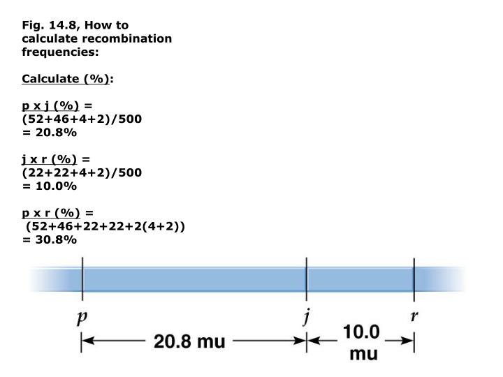 PPT - Chapters 14 - Genetic Mapping in Eukaryotes : Discovery of ...