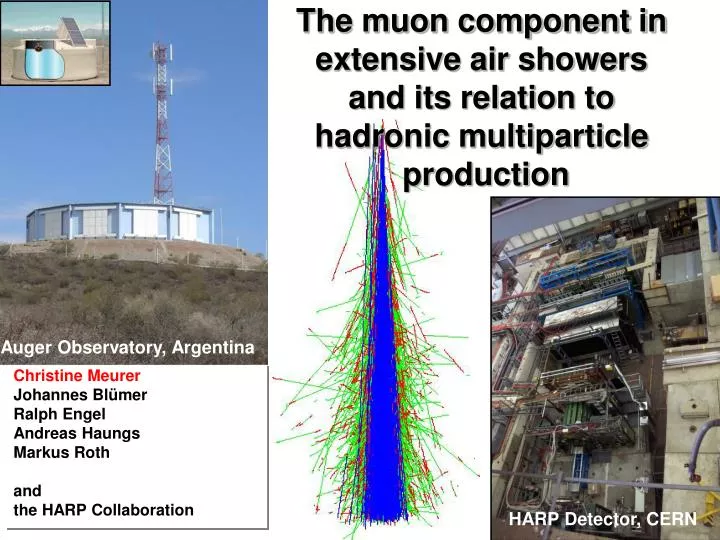 PPT - The muon component in extensive air showers and its relation to ...