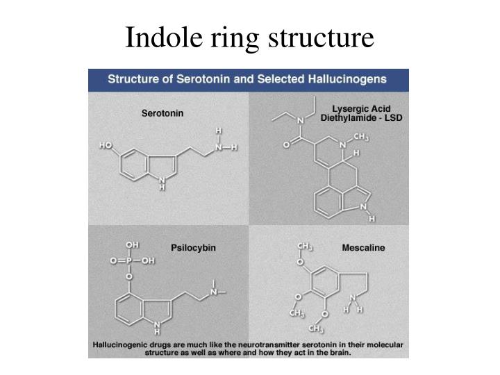 PPT - Lecture 5 - Serotonin PowerPoint Presentation - ID:5633439