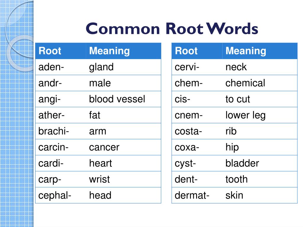 Is Cost A Root Word At Benjamin Hutchison Blog