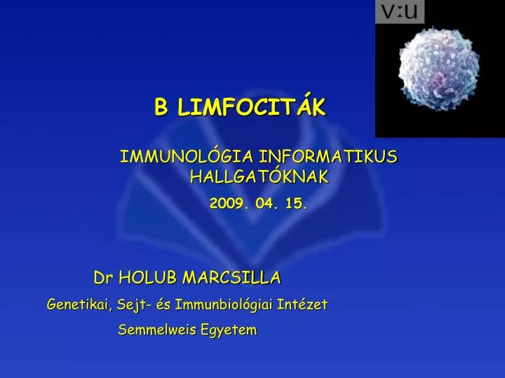 PPT - B LIMFOCITÁK PowerPoint Presentation, free download - ID:5635775