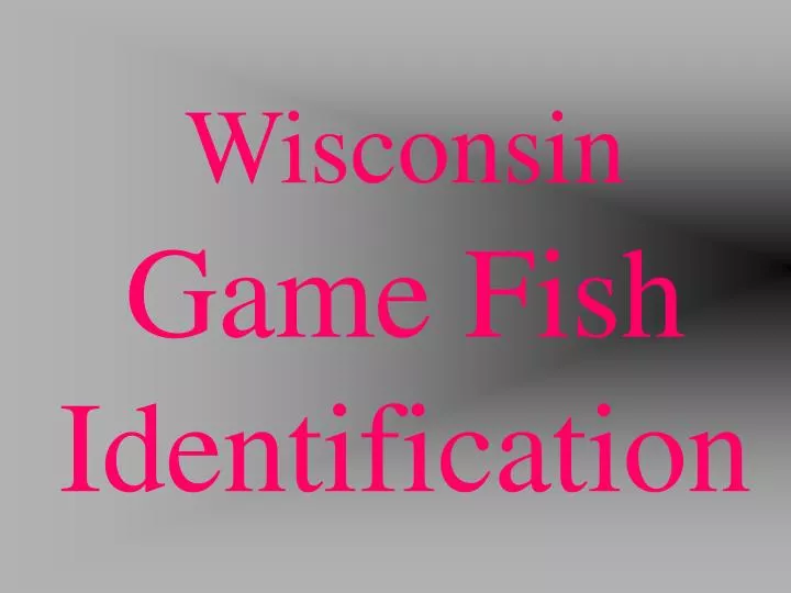 PPT - Wisconsin Game Fish Identification PowerPoint Presentation, free ...