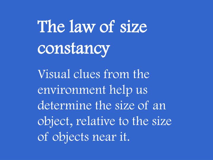 PPT - KEY CONCEPTS IN COGNITIVE PSYCHOLOGY Perceptual processes ...