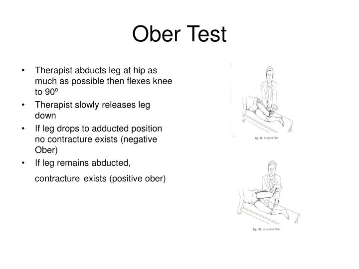 PPT - Hip and Pelvis PowerPoint Presentation - ID:5640480