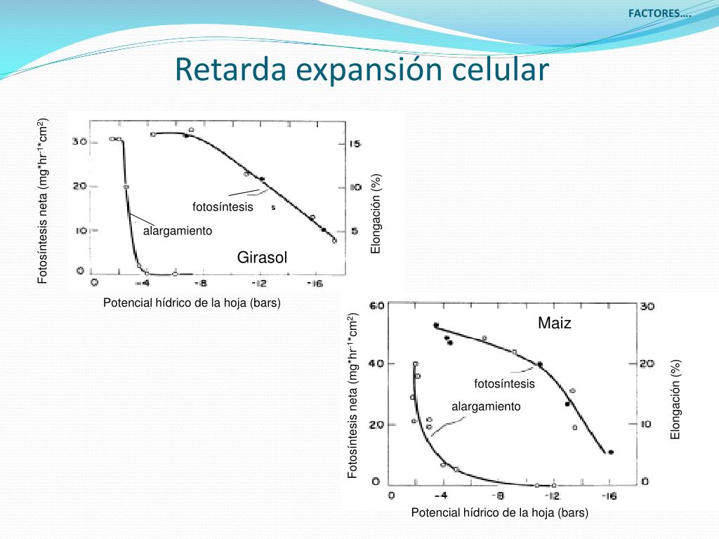 PPT - UNIVERSIDAD CENTROCCIDENTAL LISANDRO ALVARADO DECANATO DE ...