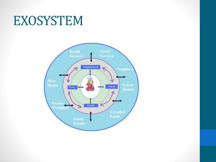 PPT - Urie Bronfenbrenner PowerPoint Presentation - ID:5643057
