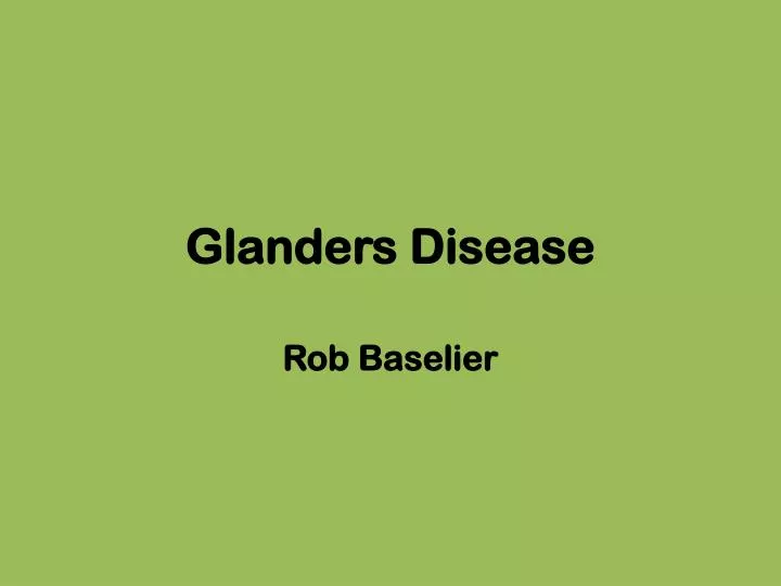 PPT - Glanders Disease PowerPoint Presentation, free download - ID:5644016