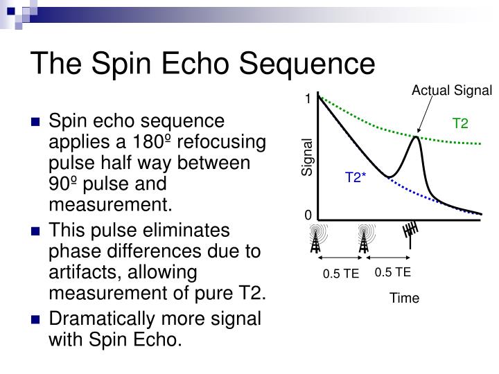 PPT - MRI Physics: Just the Basics PowerPoint Presentation - ID:5644565