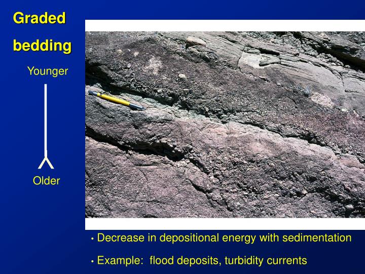 PPT - Geology 3120 - Sedimentary Structures PowerPoint Presentation ...