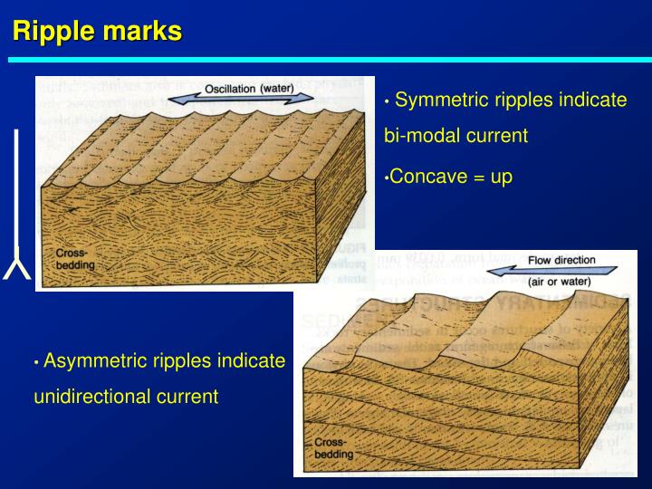 PPT - Geology 3120 - Sedimentary Structures PowerPoint Presentation ...