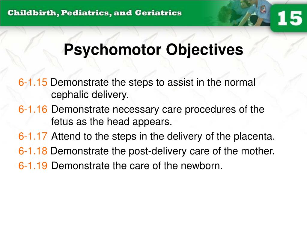 PPT Chapter 15 Childbirth PowerPoint Presentation Free Download PPT Chapter 15 Childbirth PowerPoint Presentation Free Download