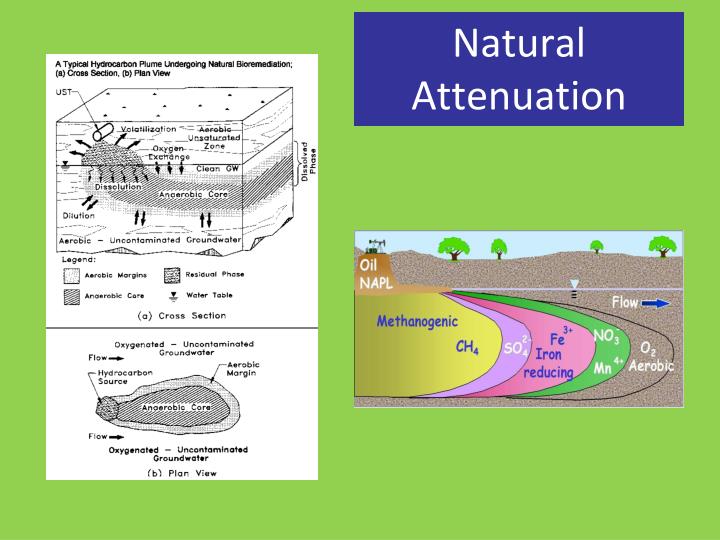 PPT - BIOREMEDIATION PowerPoint Presentation - ID:5645487