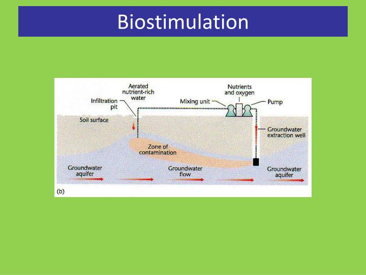PPT - BIOREMEDIATION PowerPoint Presentation - ID:5645487