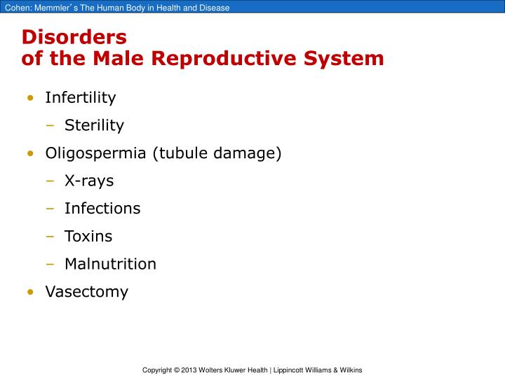 Ppt Chapter 23 The Male And Female Reproductive Systems Powerpoint