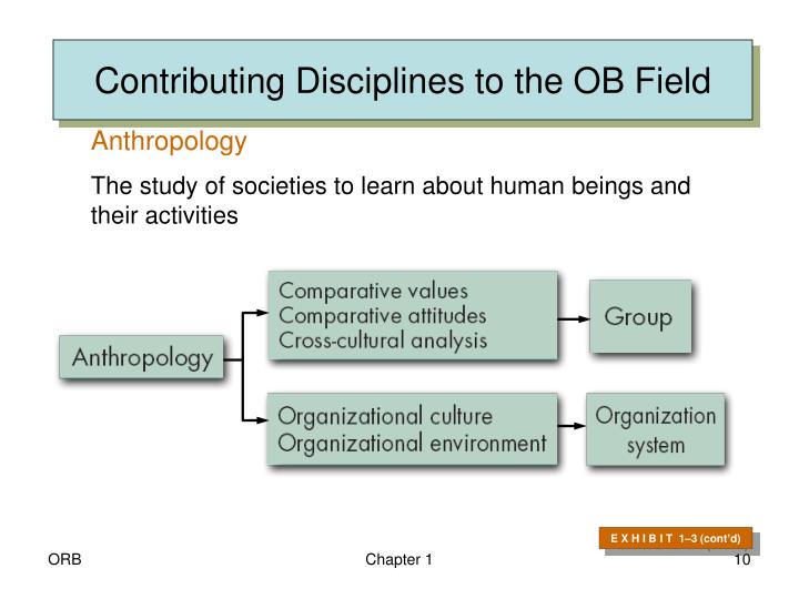 PPT - ORGANIZATIONAL BEHAVIOR PowerPoint Presentation - ID:5647763