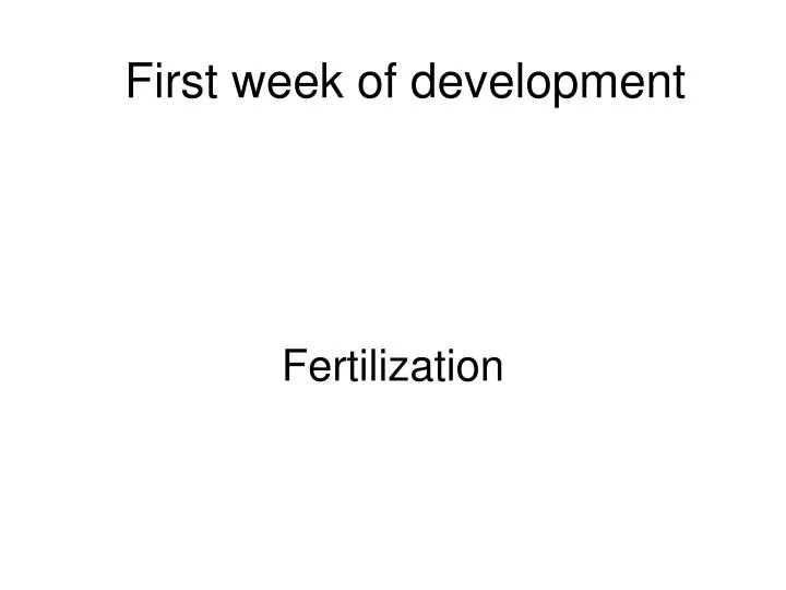 PPT - First week of development PowerPoint Presentation, free download ...