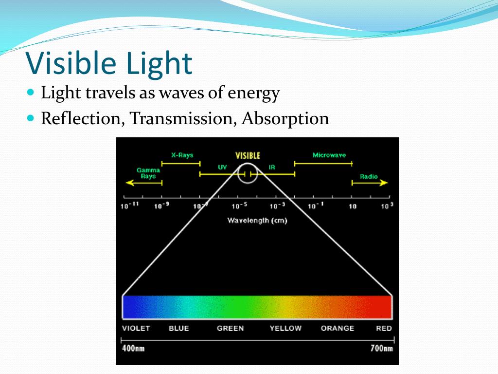 PPT - Honors Biology: Photosynthesis PowerPoint Presentation, free ...