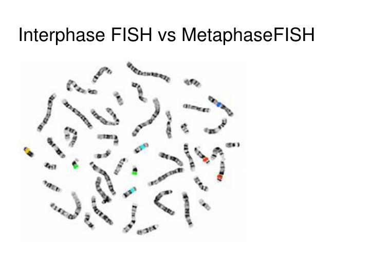 PPT - Microdeletion Syndromes PowerPoint Presentation - ID:5649039