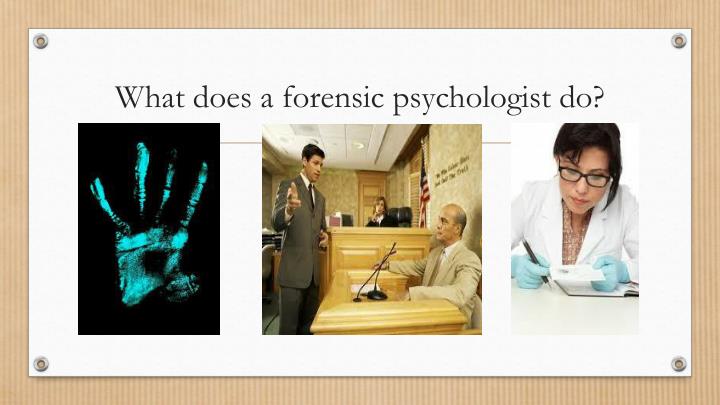 PPT - Subfields of Psychology PowerPoint Presentation - ID:5649103