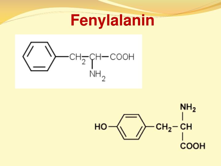 PPT - Fenylketonurie PowerPoint Presentation - ID:5649490