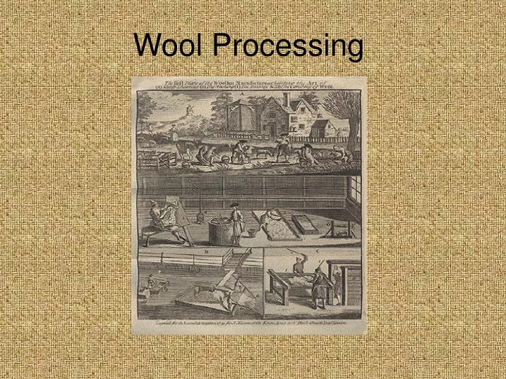 PPT - Wool Processing PowerPoint Presentation, free download - ID:5649644
