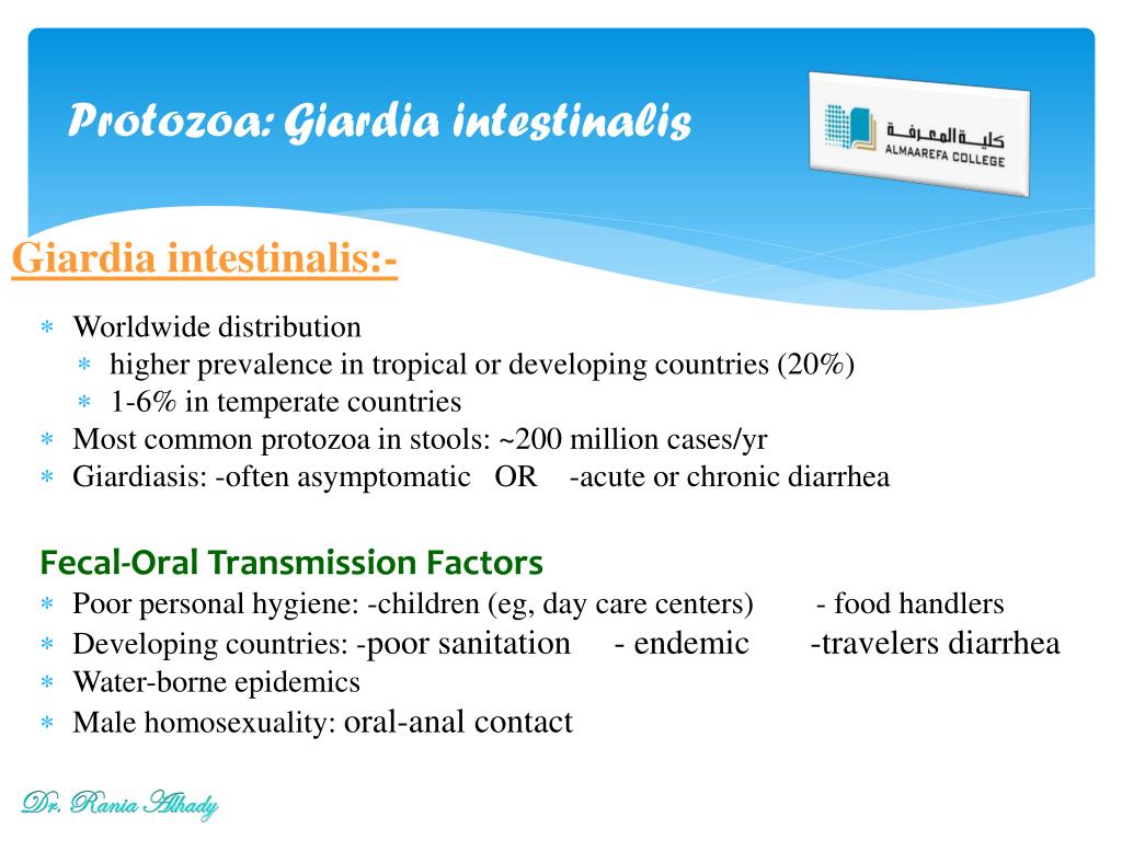 PPT - Parasitology: (Protozoa and Helminthes) PowerPoint Presentation ...
