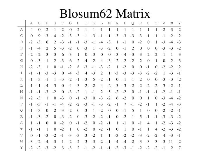 PPT - PAM250 Matrix PowerPoint Presentation - ID:5650967