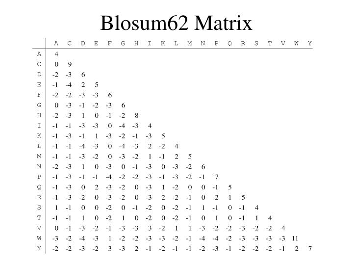 PPT - PAM250 Matrix PowerPoint Presentation - ID:5650967