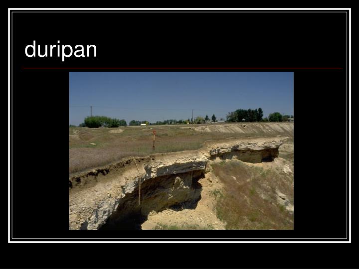 PPT - Soil properties PowerPoint Presentation - ID:5651158