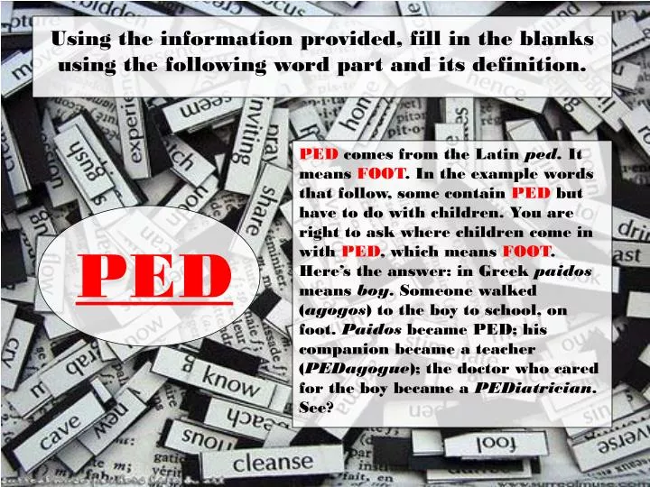 PPT - PED PowerPoint Presentation, free download - ID:5651179