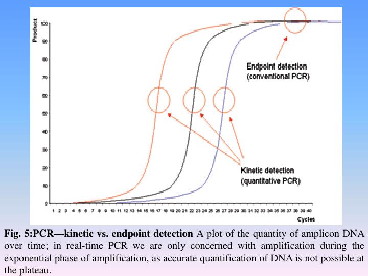 PPT - Real-Time PCR PowerPoint Presentation - ID:5651742